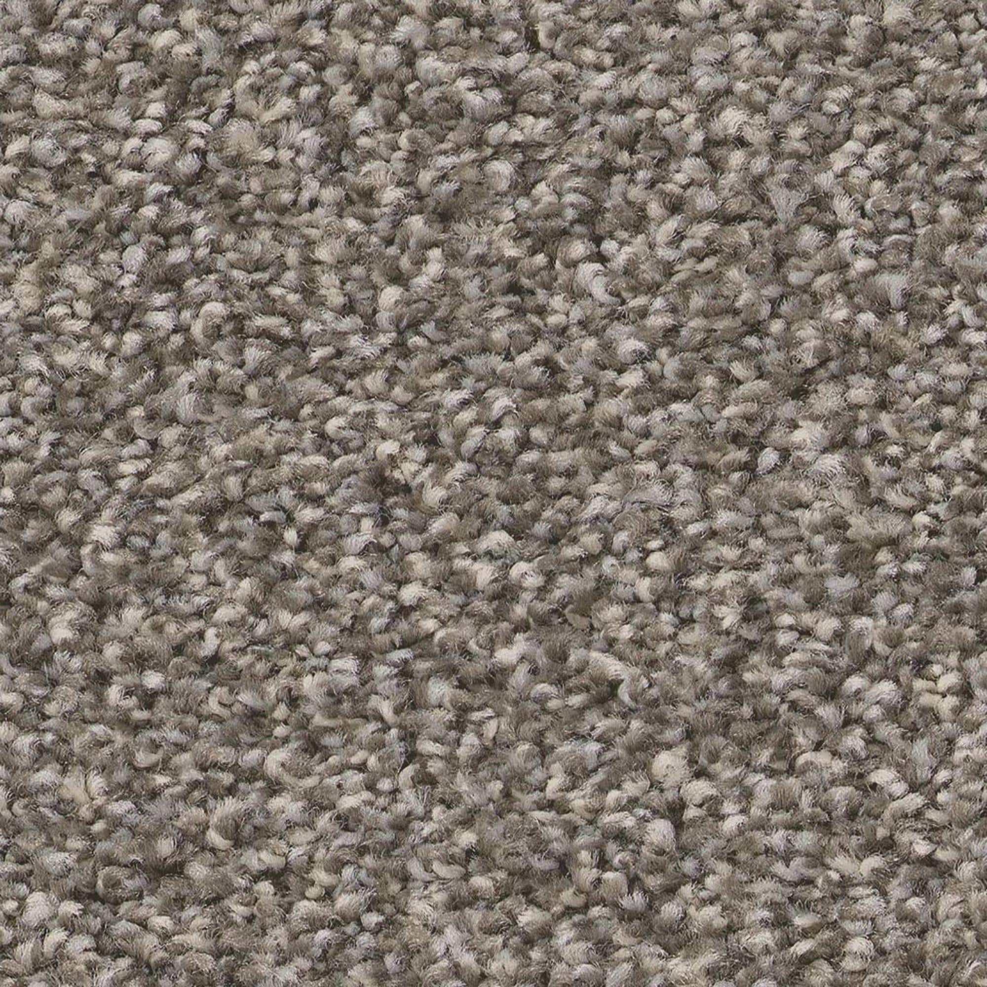 Shaw Tweed Comfort Blue Carpet in Marsh Grass