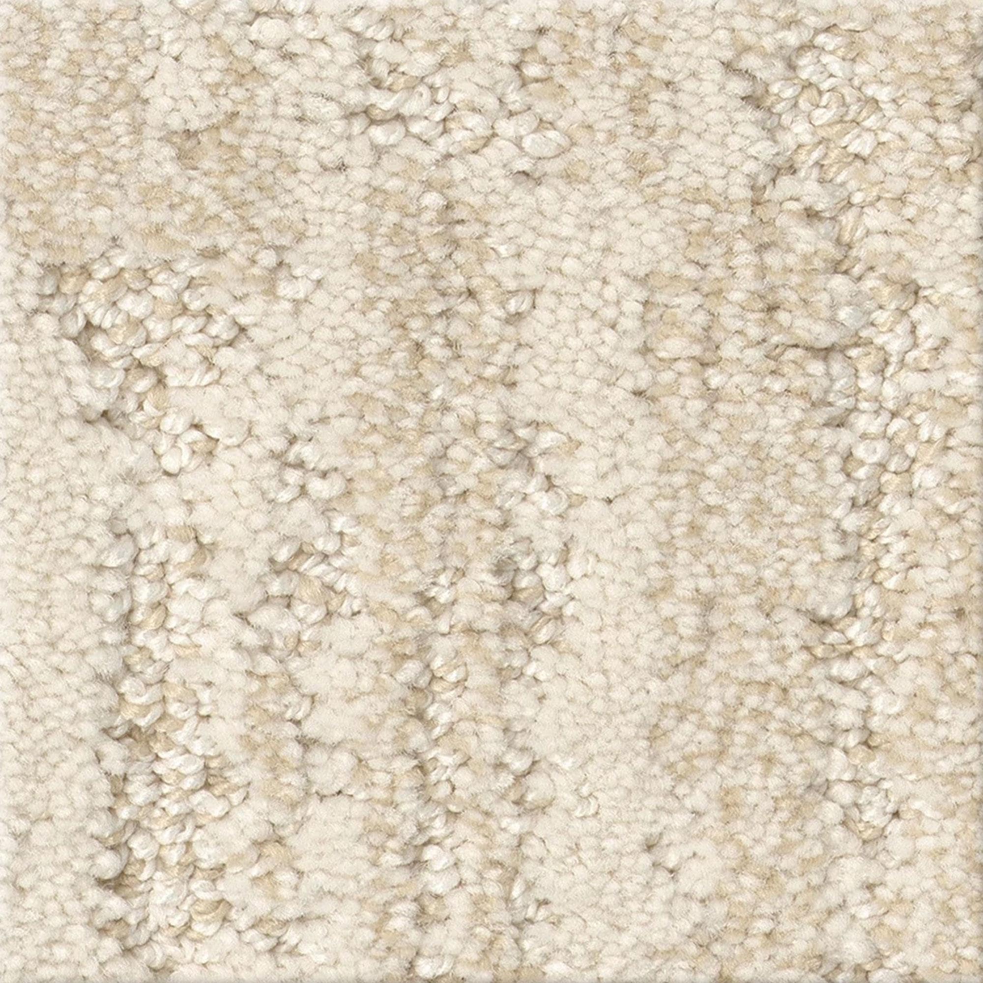 Anderson Tuftex Trace Carpet in Silk