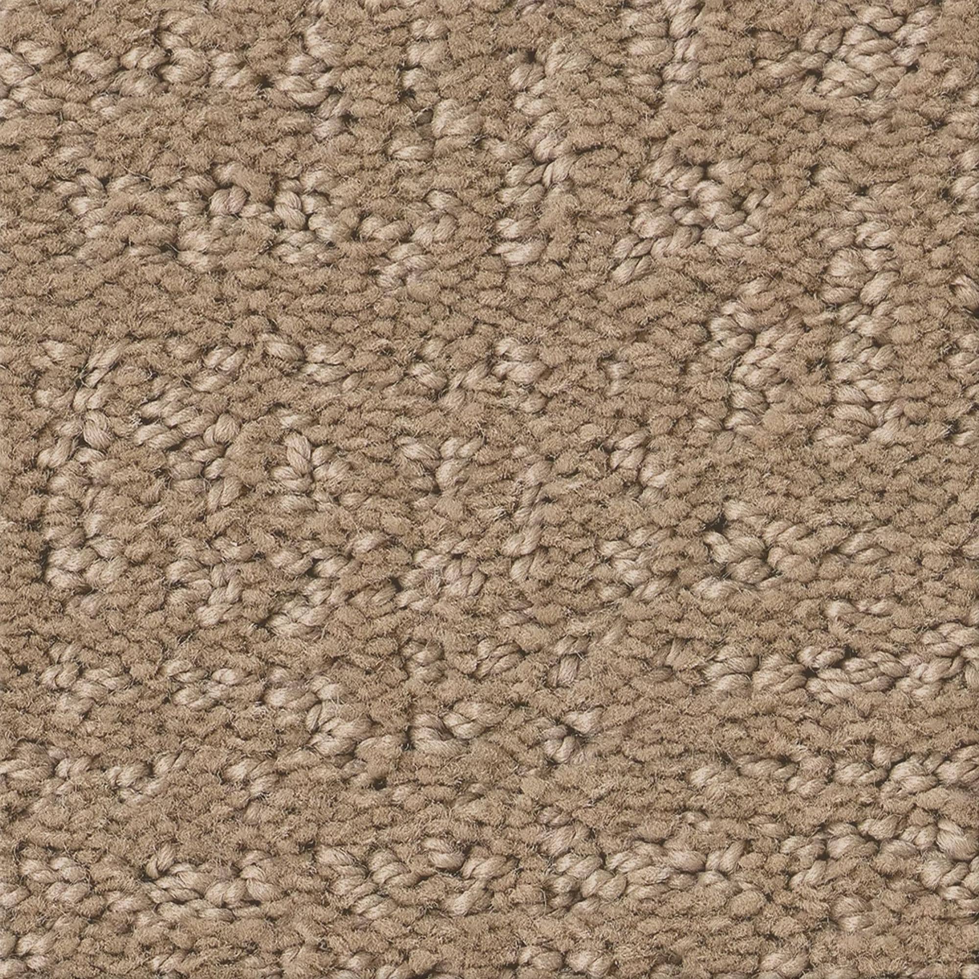 Shaw Clever Design Carpet in Worn Path