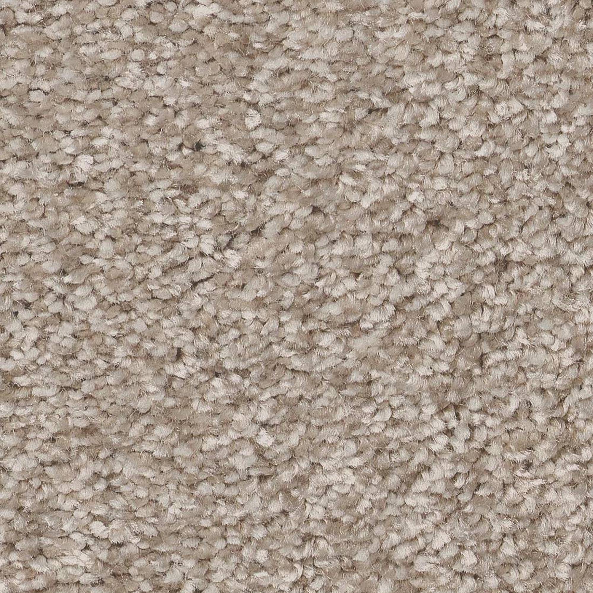 Shaw You Got This I Carpet in Subtle Clay