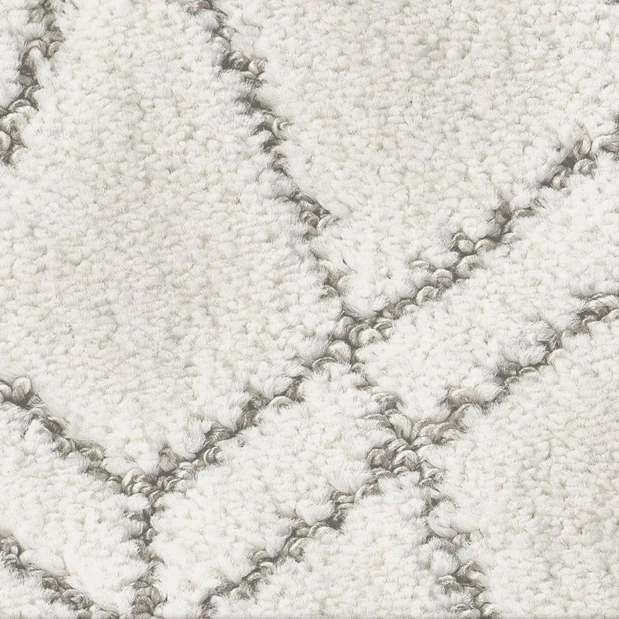 Shaw Point of View Carpet in Snowfall