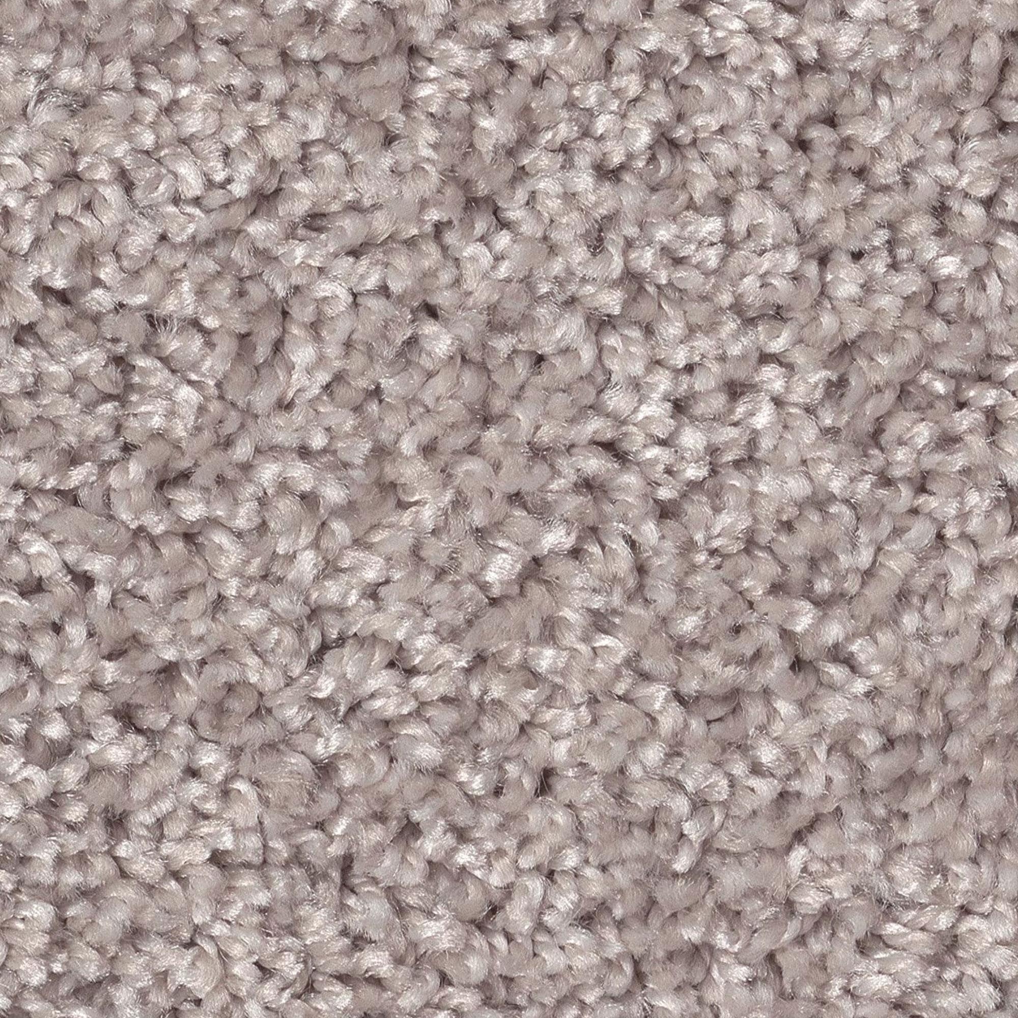 Shaw Agility Carpet in Ornamental Gate