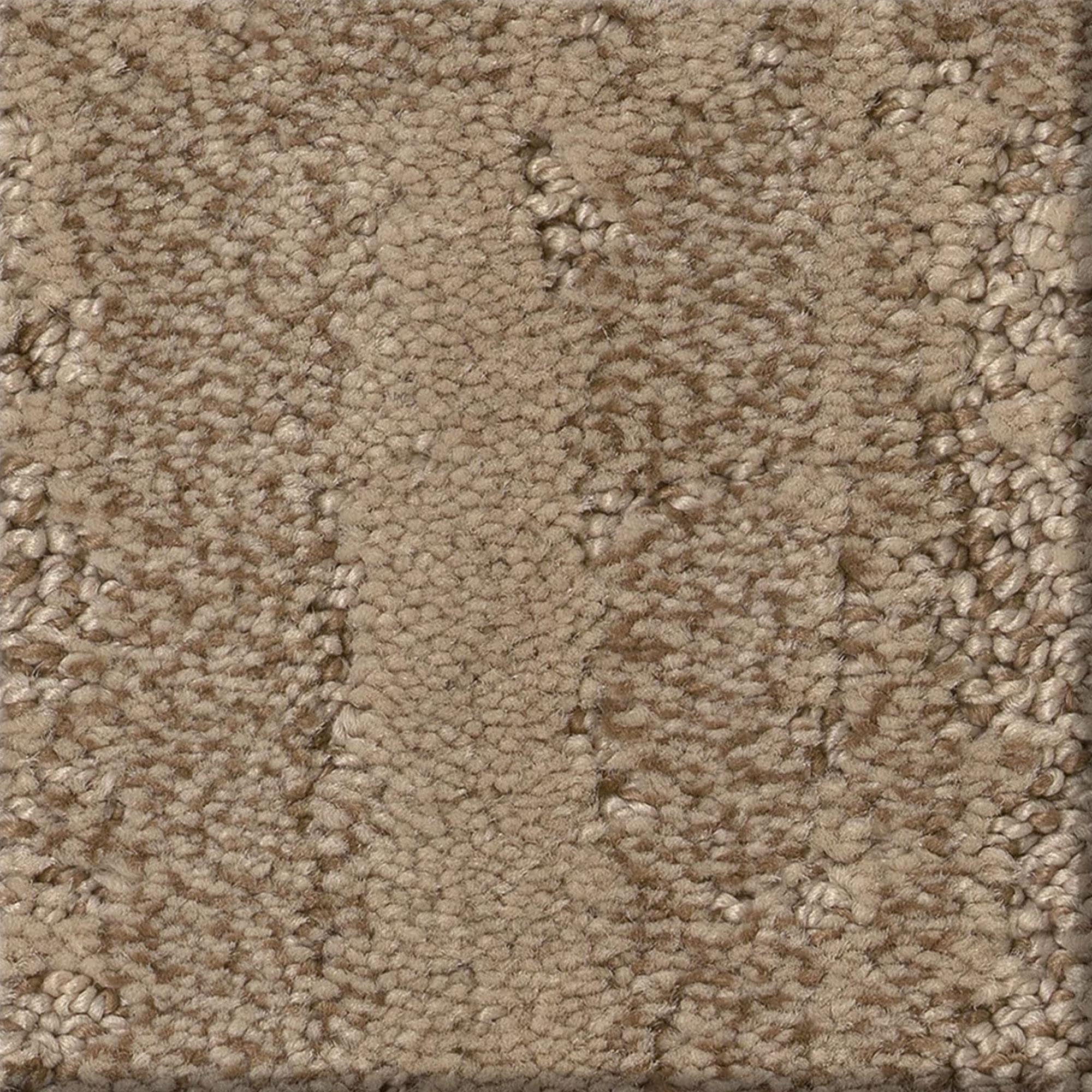 Anderson Tuftex Trace Carpet in Woodgrain